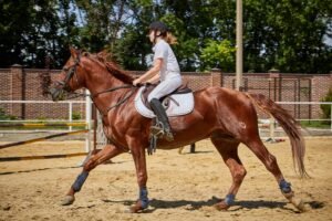 Simco Saddlery | Western, Barrel & Roping Saddles Dallas TX